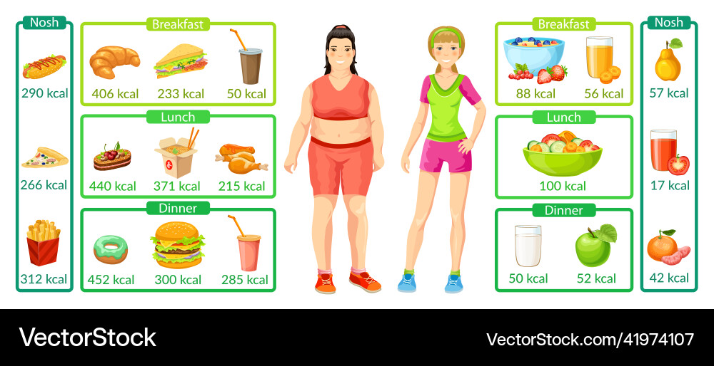 Colorful weight loss infographics Royalty Free Vector Image