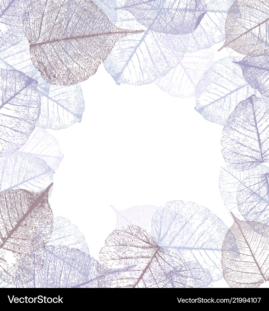 Festive winter background with frame hoarfrost Vector Image