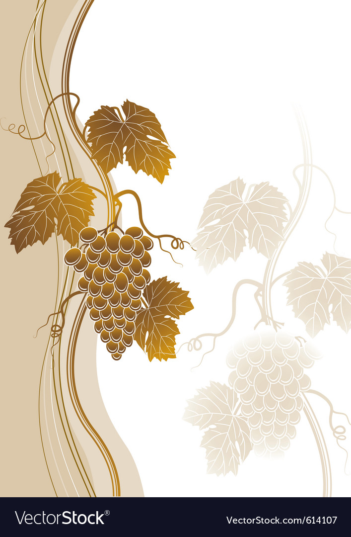 Grapes background Royalty Free Vector Image - VectorStock