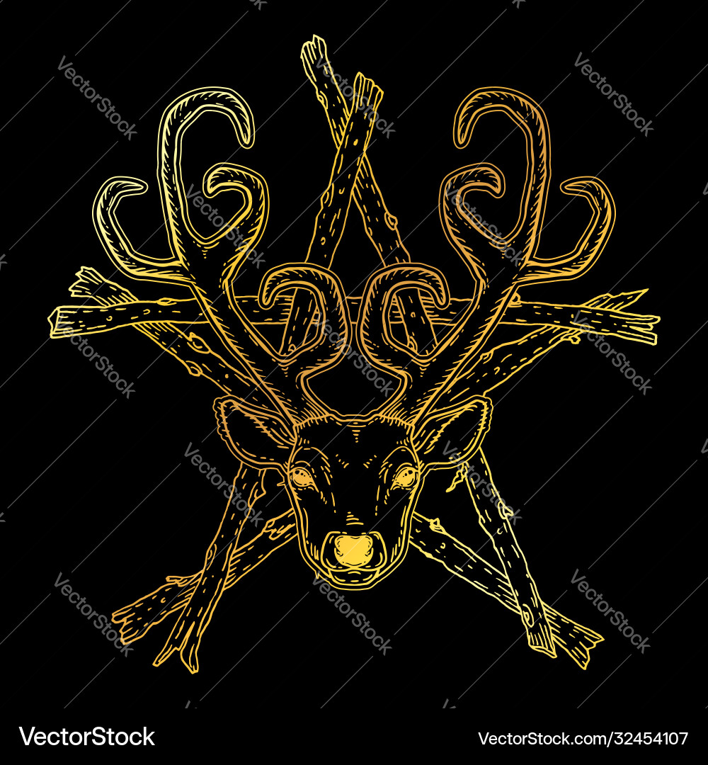 Hand drawn deer head over stick pentagram tribal Vector Image