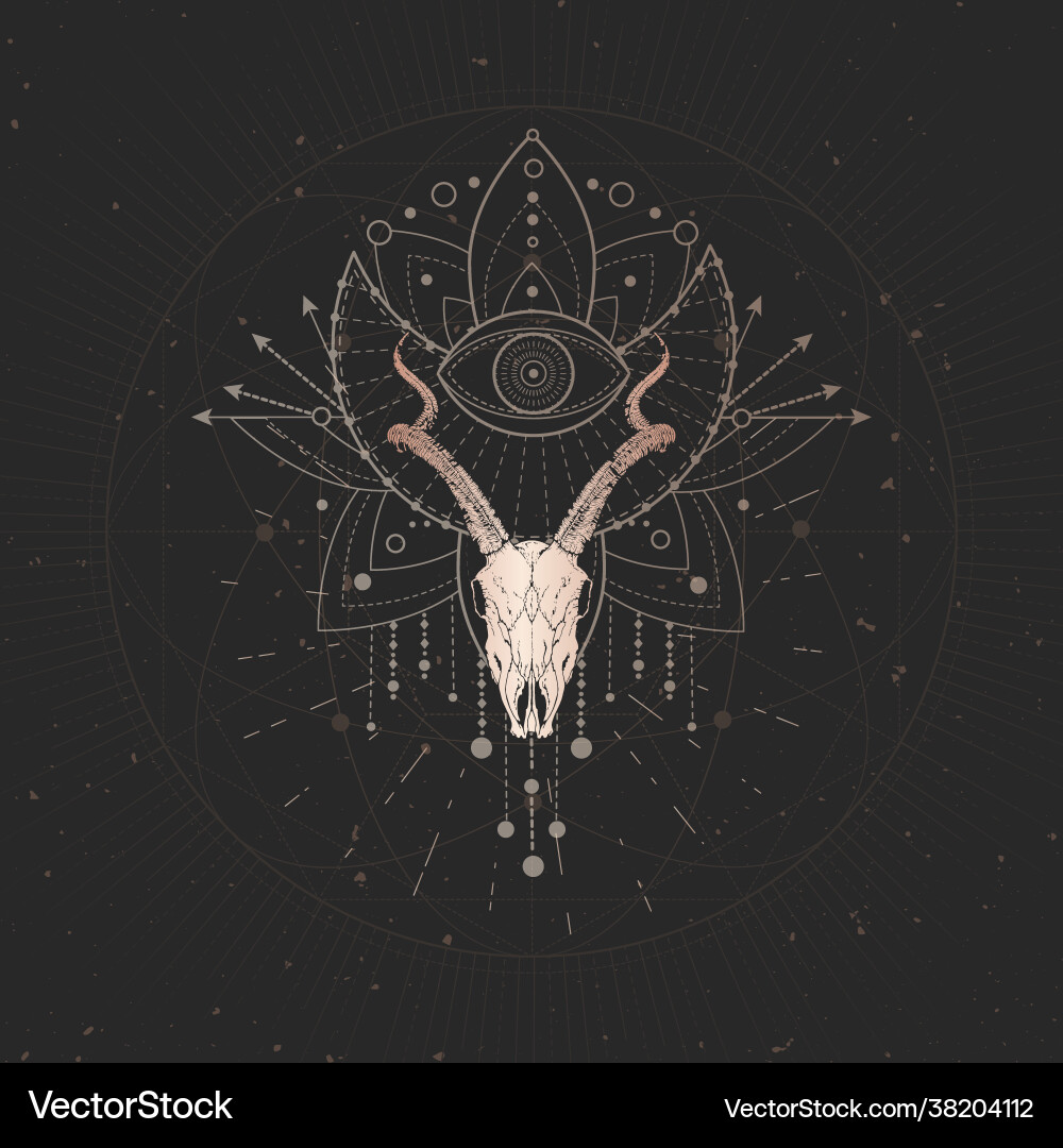 Antelope skull and sacred symbol Royalty Free Vector Image