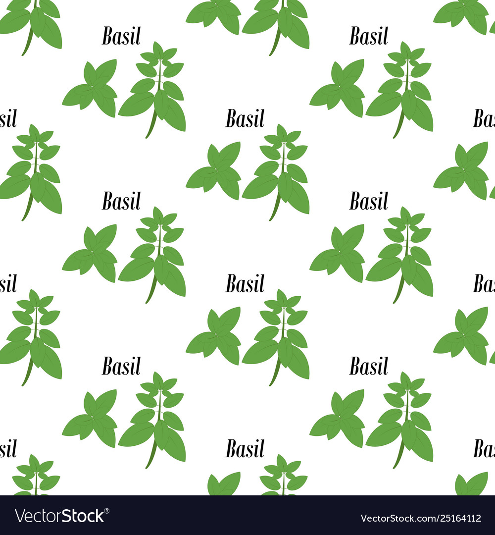 Green basil seamless pattern Royalty Free Vector Image