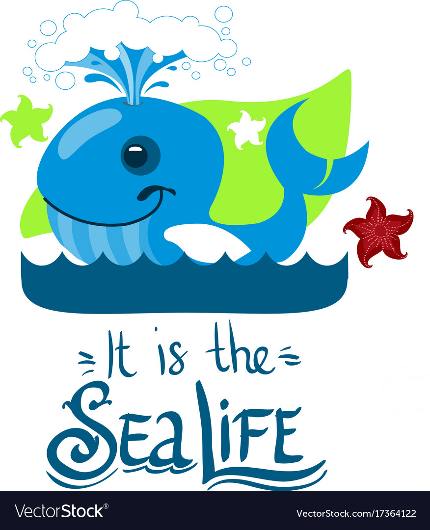 Blue whale and starfish design for summer banner Vector Image