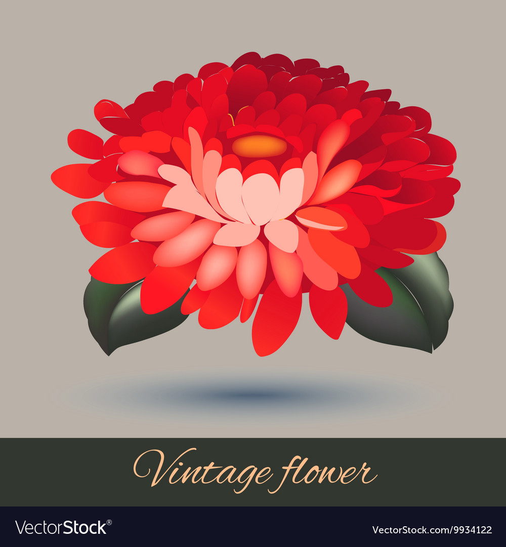 Flower element isolated Royalty Free Vector Image