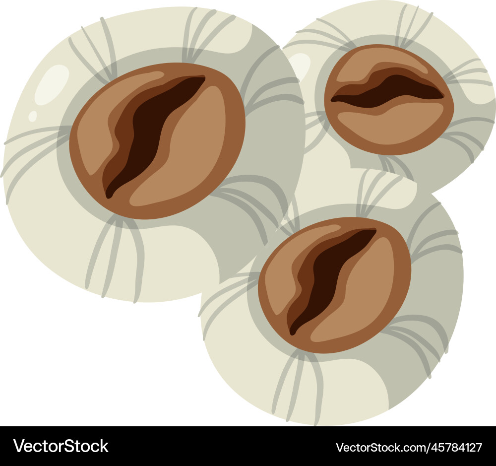 Barnacles isolated rocky shore animal Royalty Free Vector