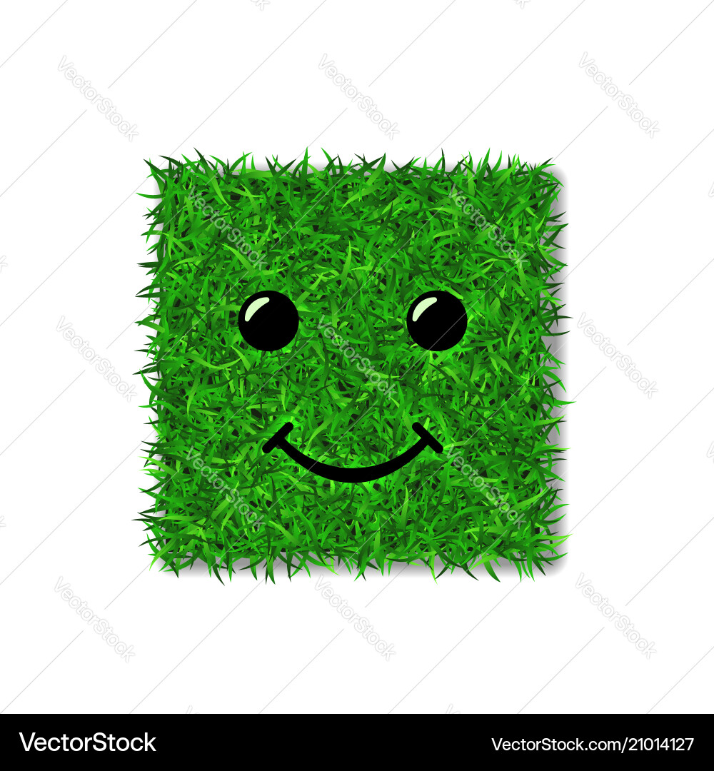 Green grass square field 3d face smile smiley Vector Image