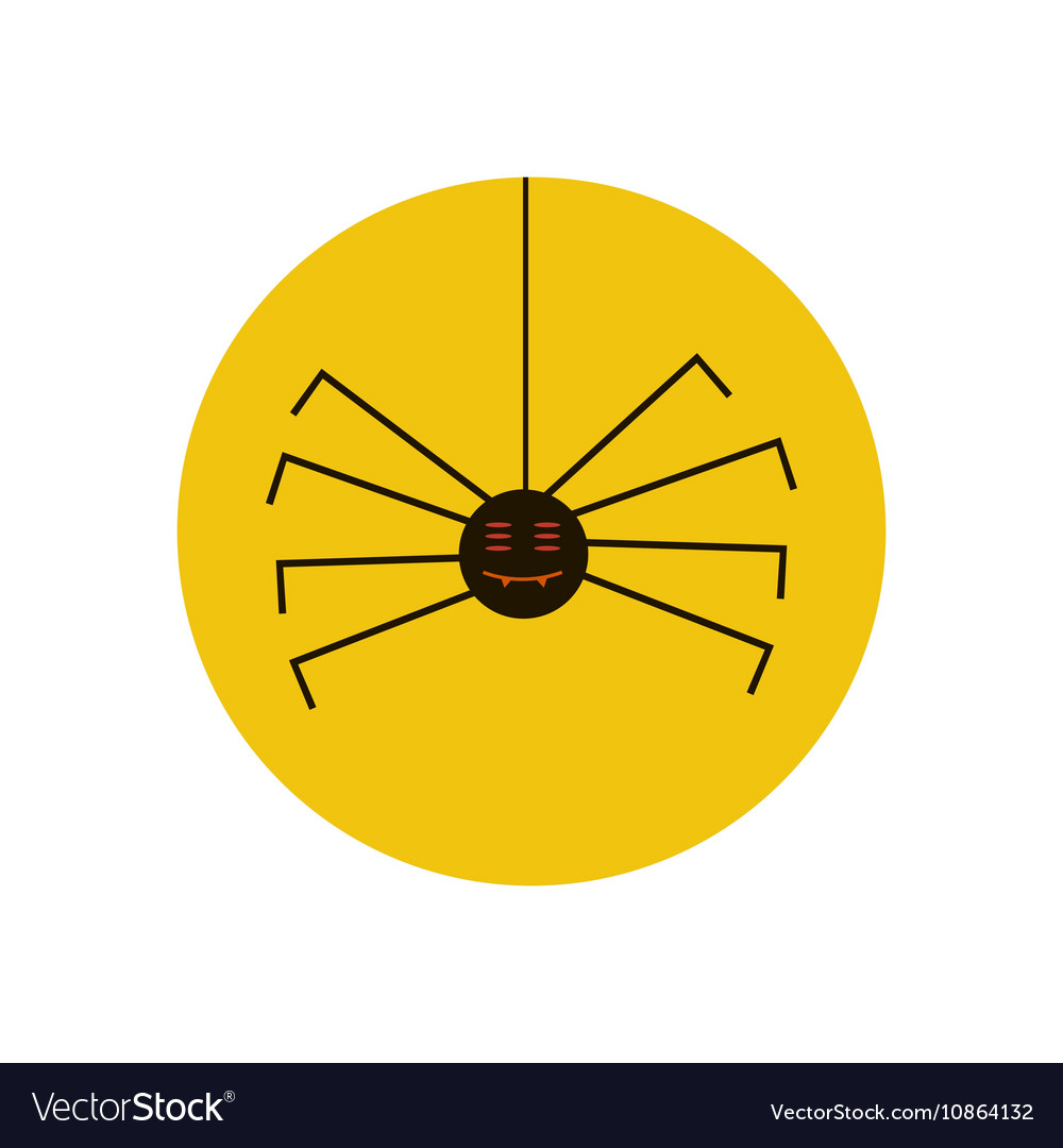 Spider Royalty Free Vector Image - VectorStock