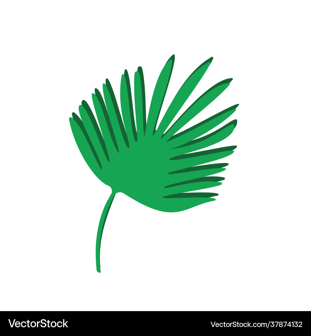 Tropical palm leaf isolated on white Royalty Free Vector