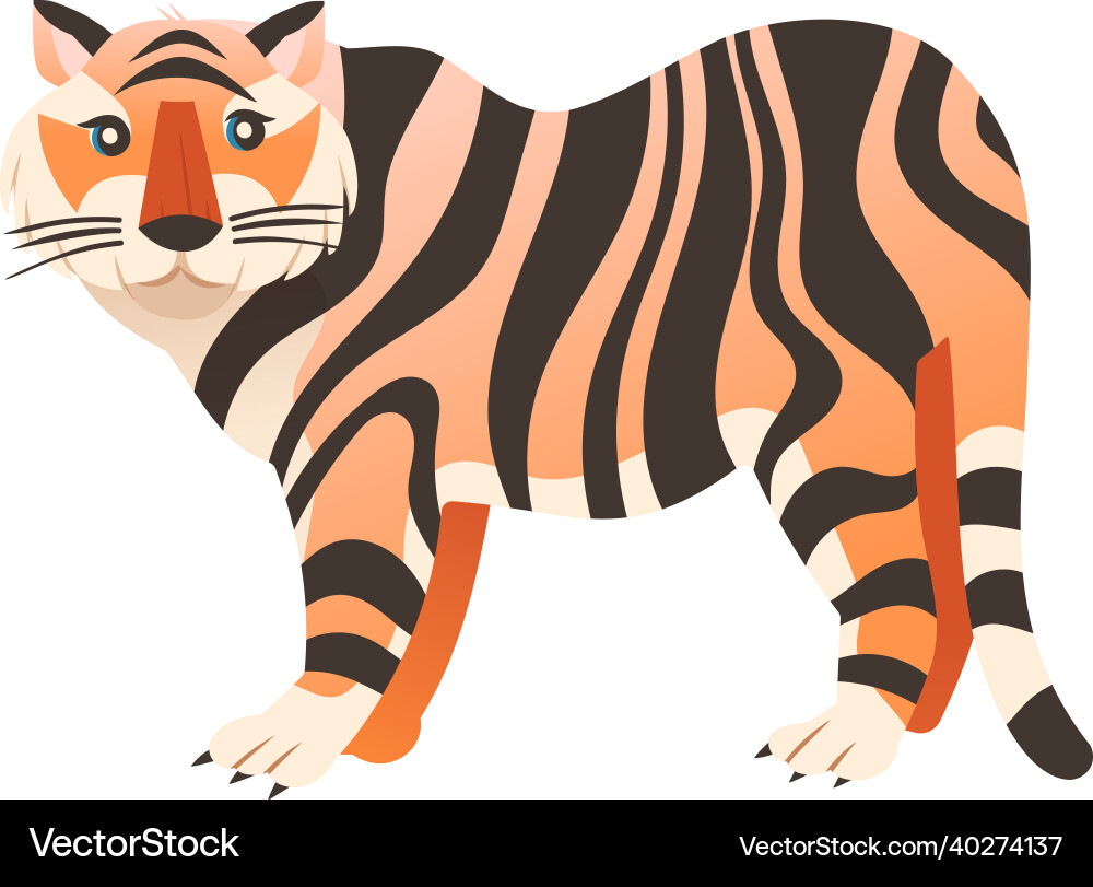 Big tiger wild animal on white Royalty Free Vector Image