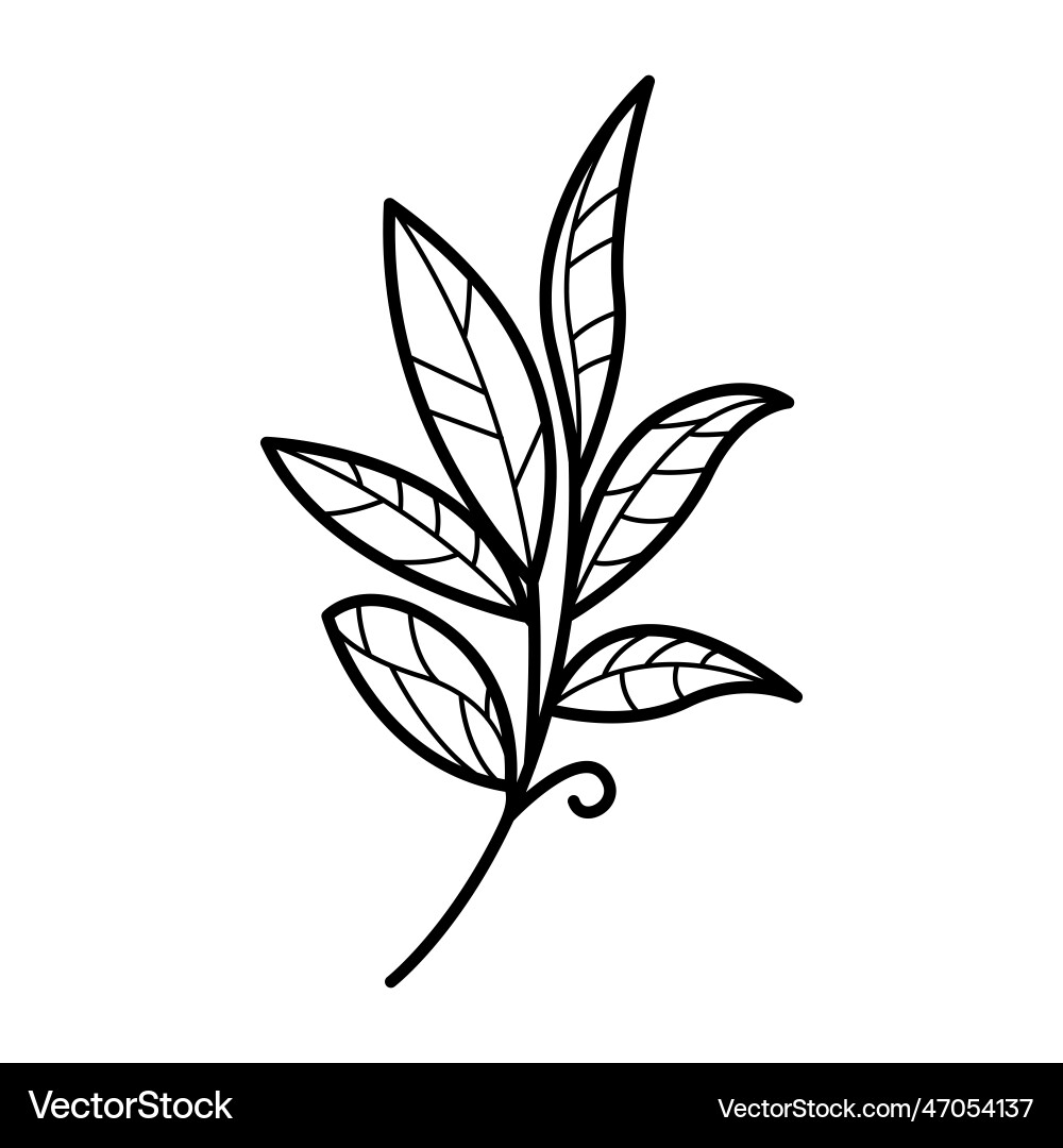 Hand drawn aesthetic outline leaves Royalty Free Vector
