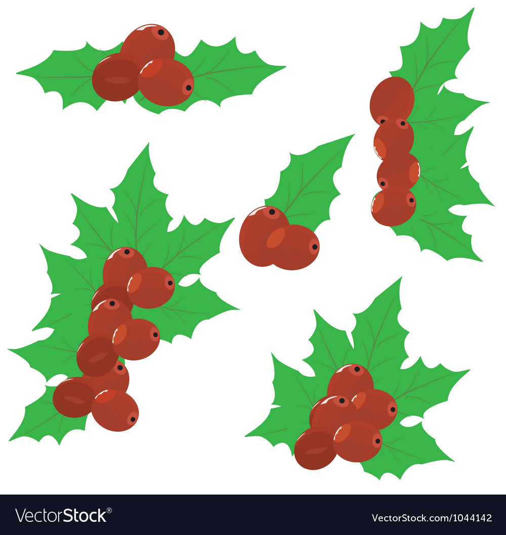 Christmas mistletoe set Royalty Free Vector Image