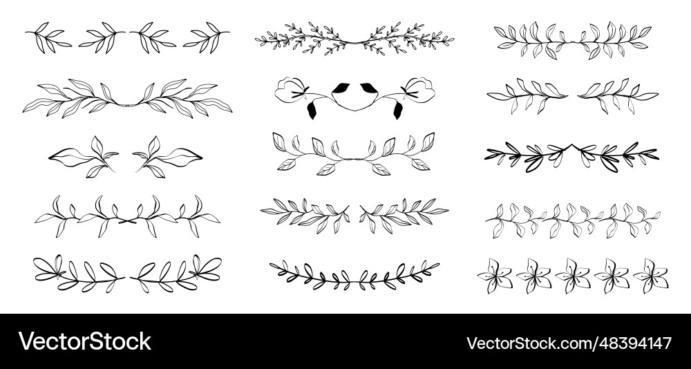 Floral dividers set hand drawn leaf borders decor Vector Image