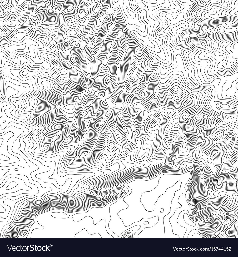 Topographic map background with space for copy Vector Image