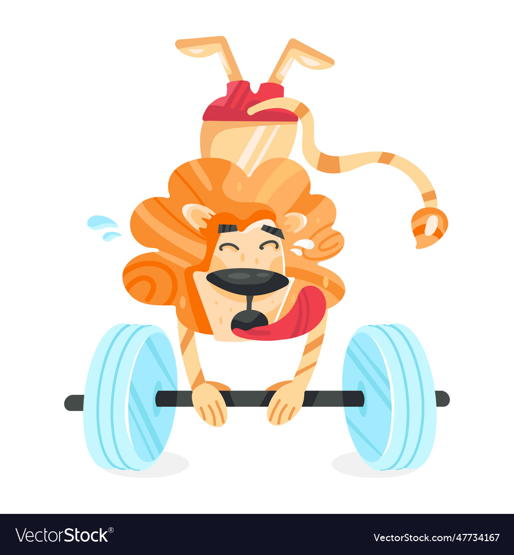 Bodybuilder lion Royalty Free Vector Image - VectorStock