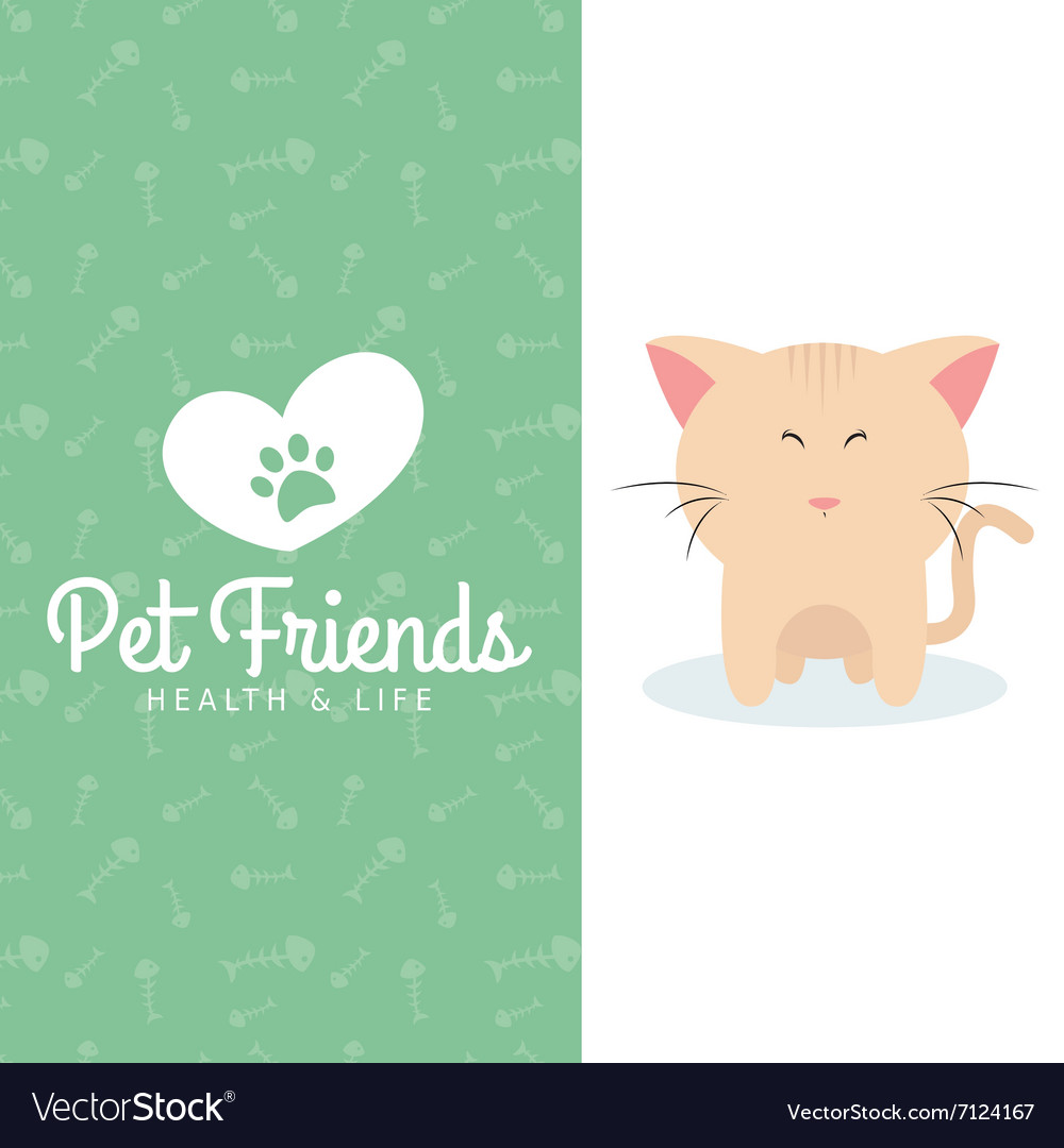 Pet shop background Royalty Free Vector Image - VectorStock