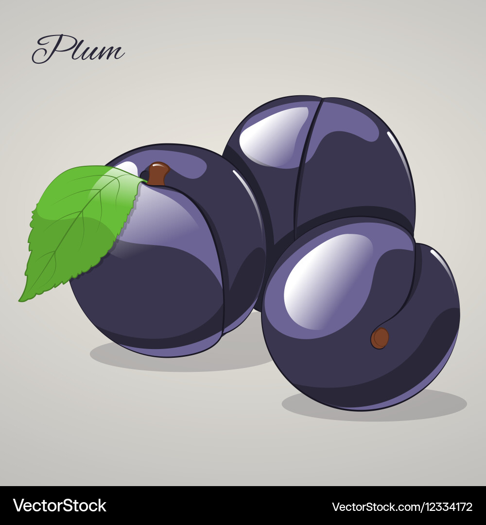 Cartoon sweet plum on grey background Royalty Free Vector