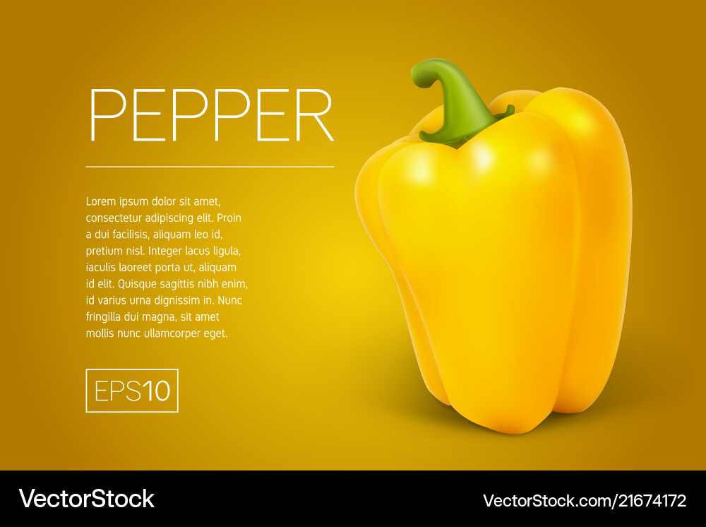 Yellow pepper isolated on transparent background Vector Image