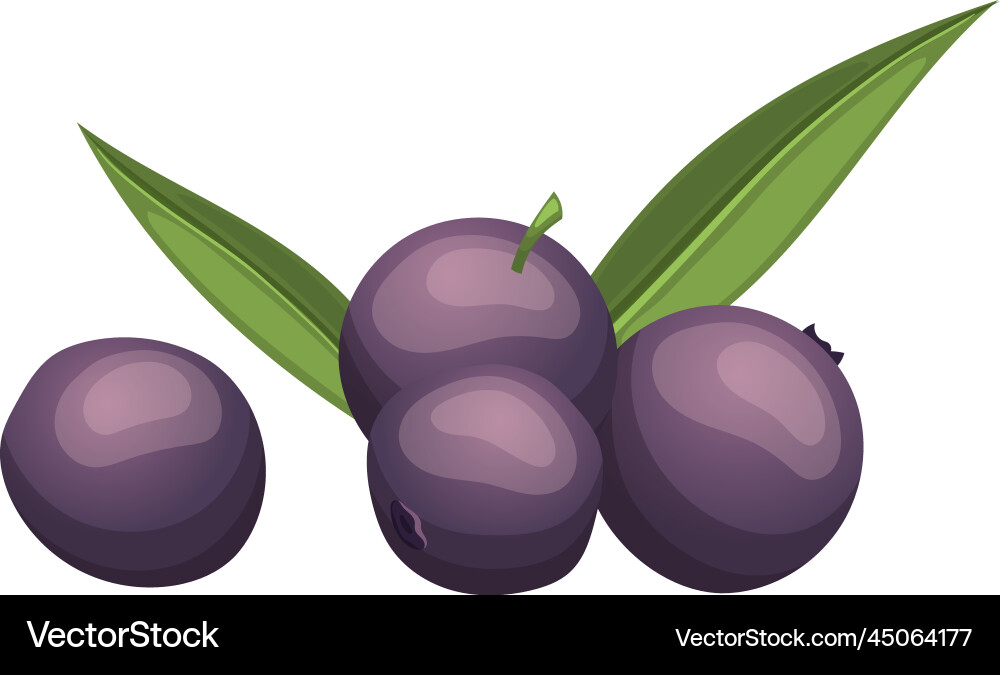 Acai food fruit cartoon Royalty Free Vector Image