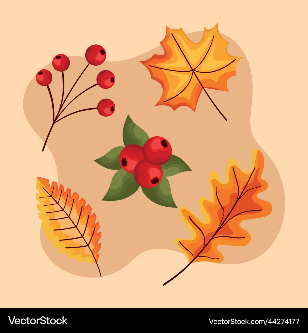 Five autumn season icons Royalty Free Vector Image