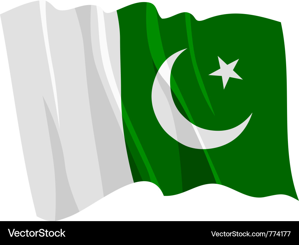 Flag of pakistan Royalty Free Vector Image - VectorStock