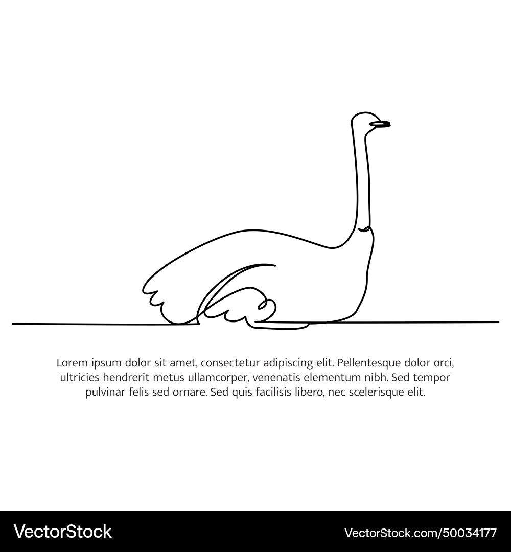 Ostrich line design simple animal silhouette Vector Image