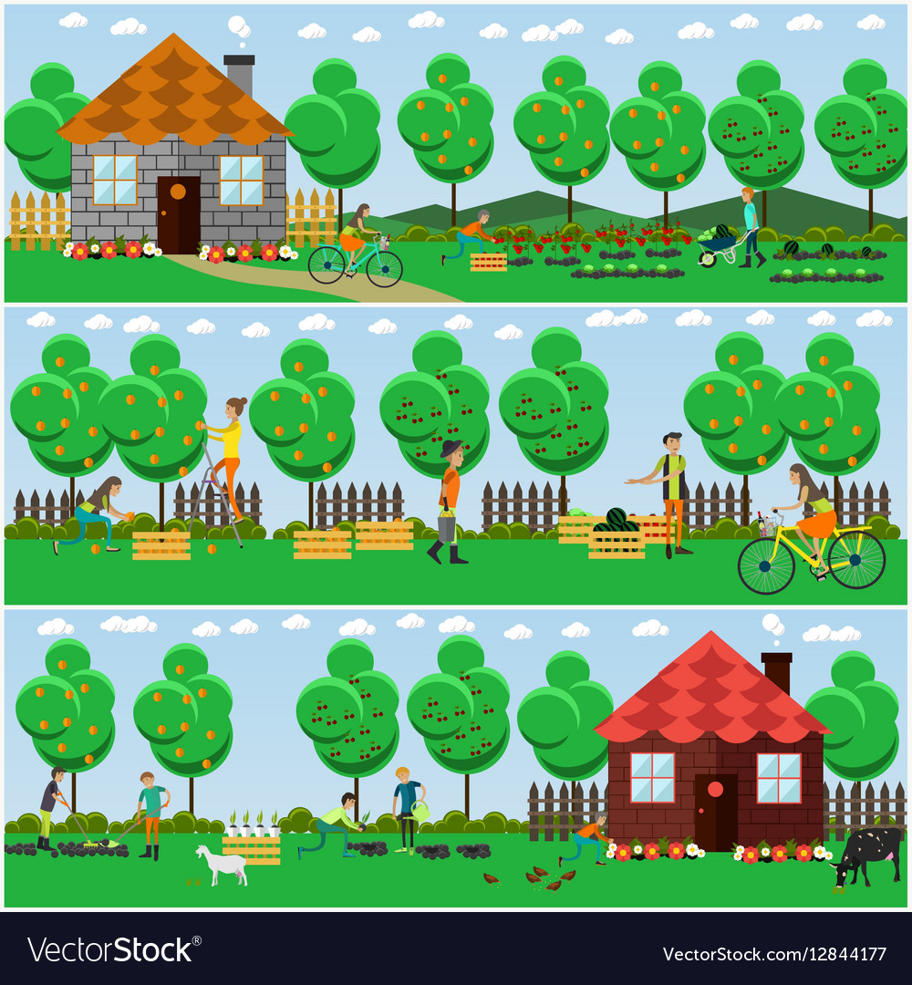 Set of gardening concept posters banners Vector Image