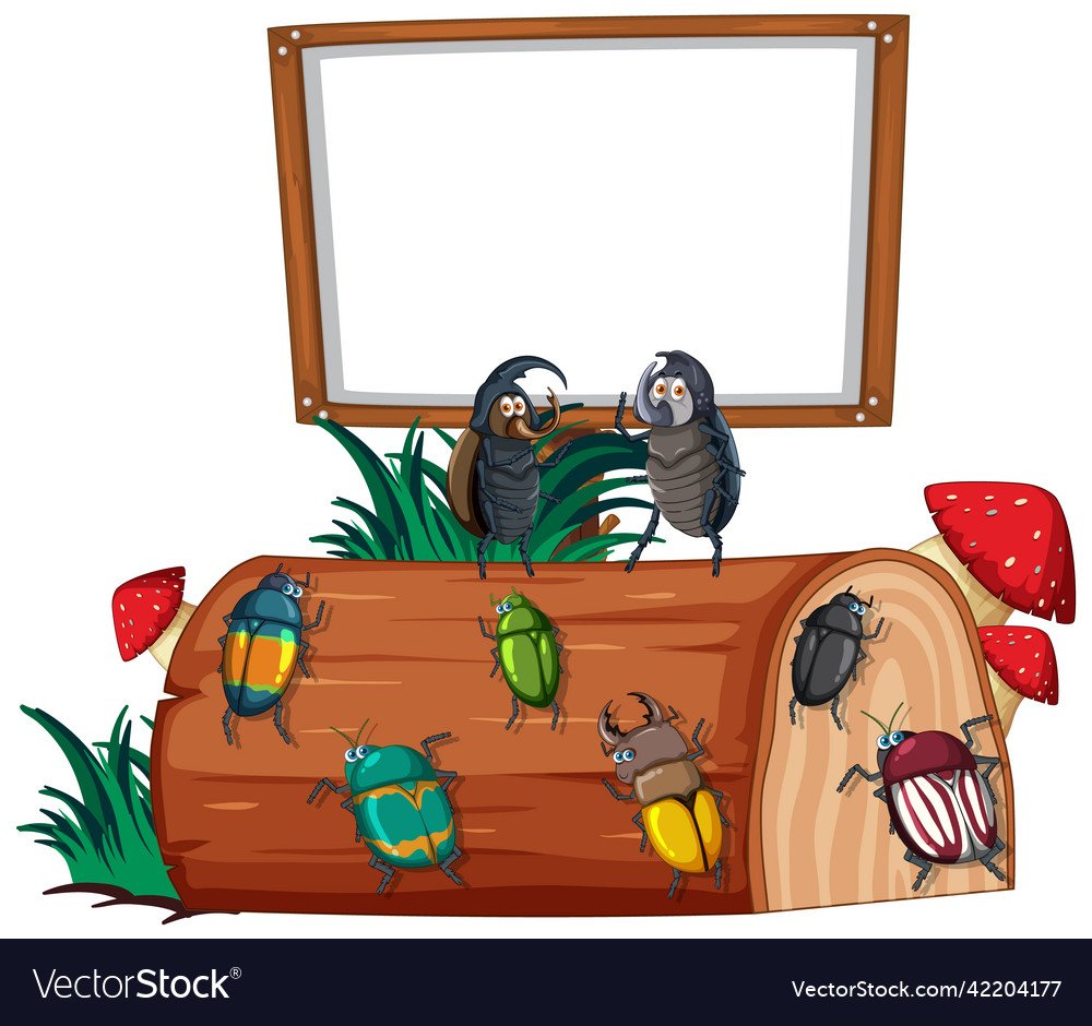 Sign board with beetle on white background Vector Image