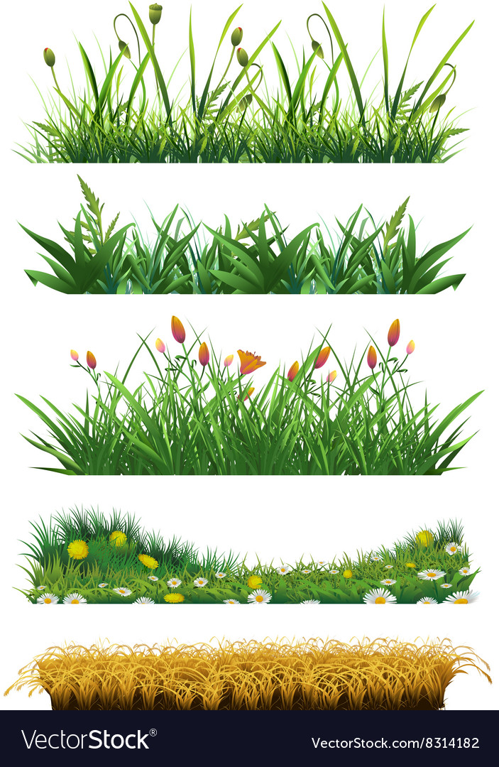 Grass set elements Royalty Free Vector Image - VectorStock