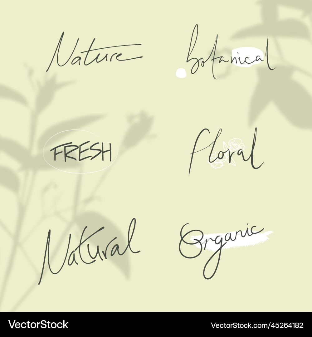 Nature words in minimal handwritten typography Vector Image