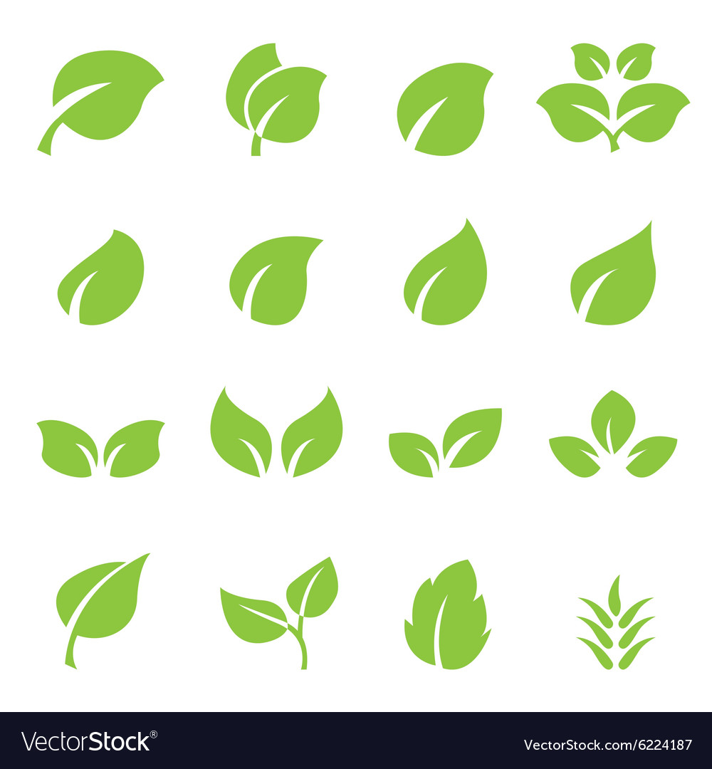 Leaf icon set Royalty Free Vector Image - VectorStock