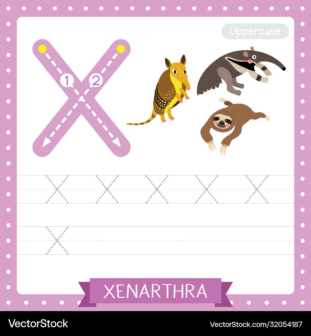 Letter x lowercase tracing practice worksheet of Vector Image