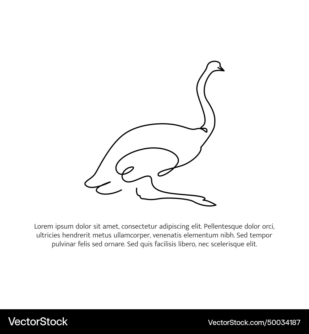 Ostrich line design simple animal silhouette Vector Image
