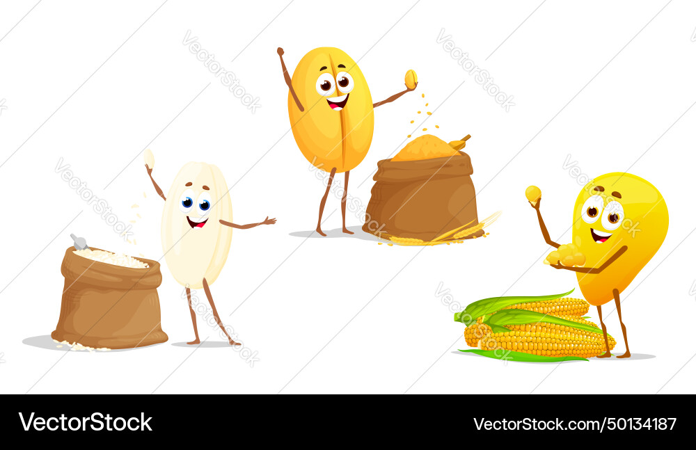 Rice wheat and corn grain characters cereal food Vector Image