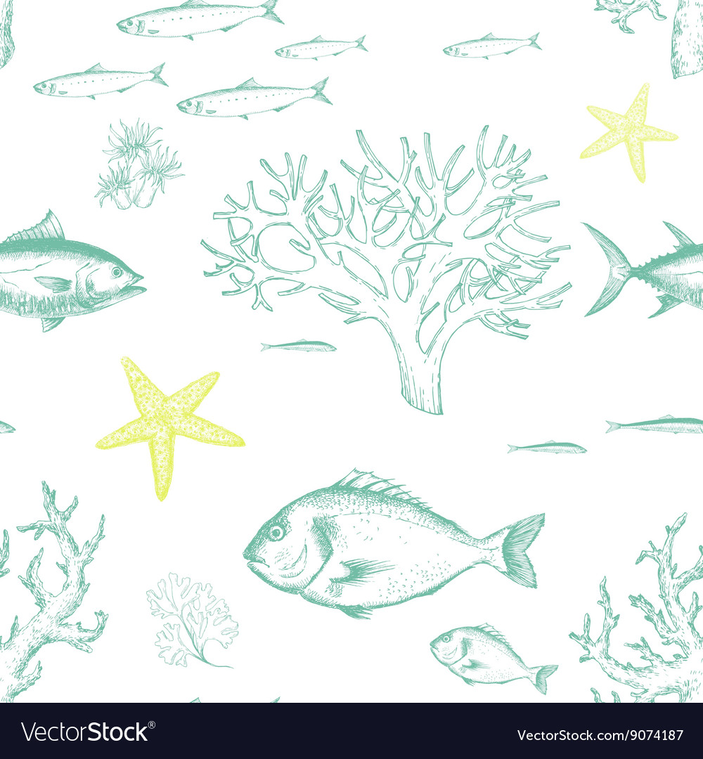 Sea life pattern Royalty Free Vector Image - VectorStock