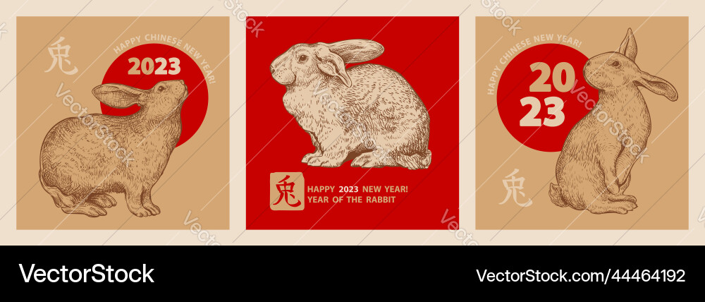 2023 year of the rabbit 35 Royalty Free Vector Image