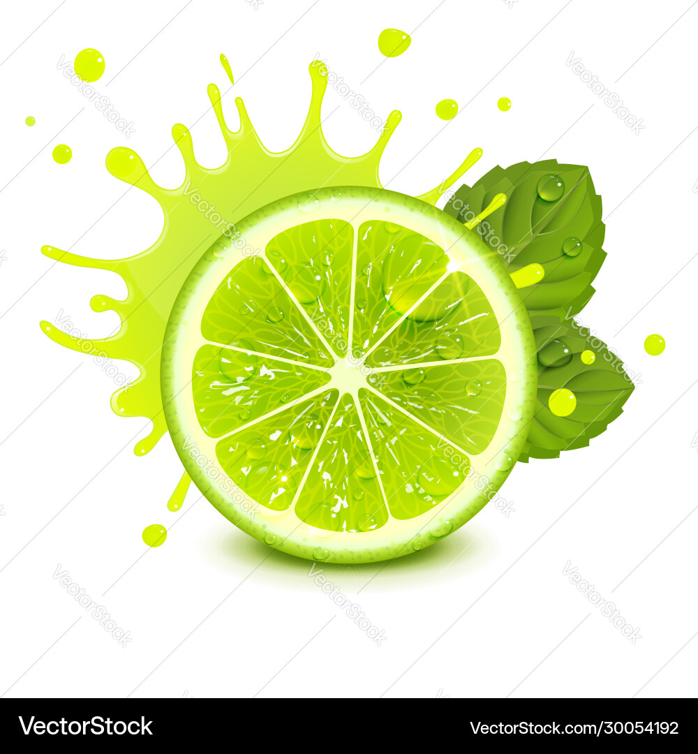 Fresh lime with mint leaves and a splash juice Vector Image