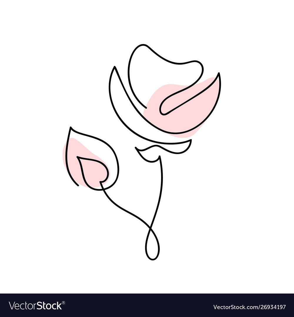 Continuous line hand drawing calligraphic Vector Image