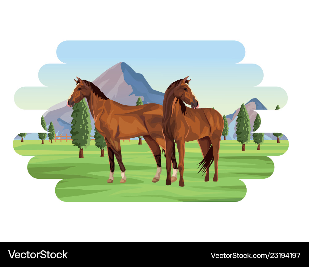 Horses farm animal Royalty Free Vector Image - VectorStock