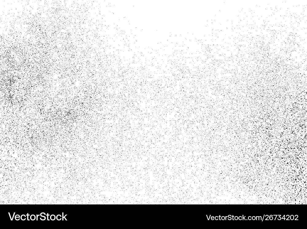 Abstract grainy texture isolated on white Vector Image