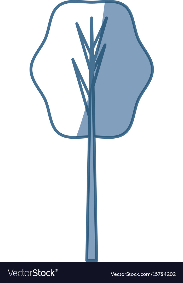 Tree isolated symbol Royalty Free Vector Image