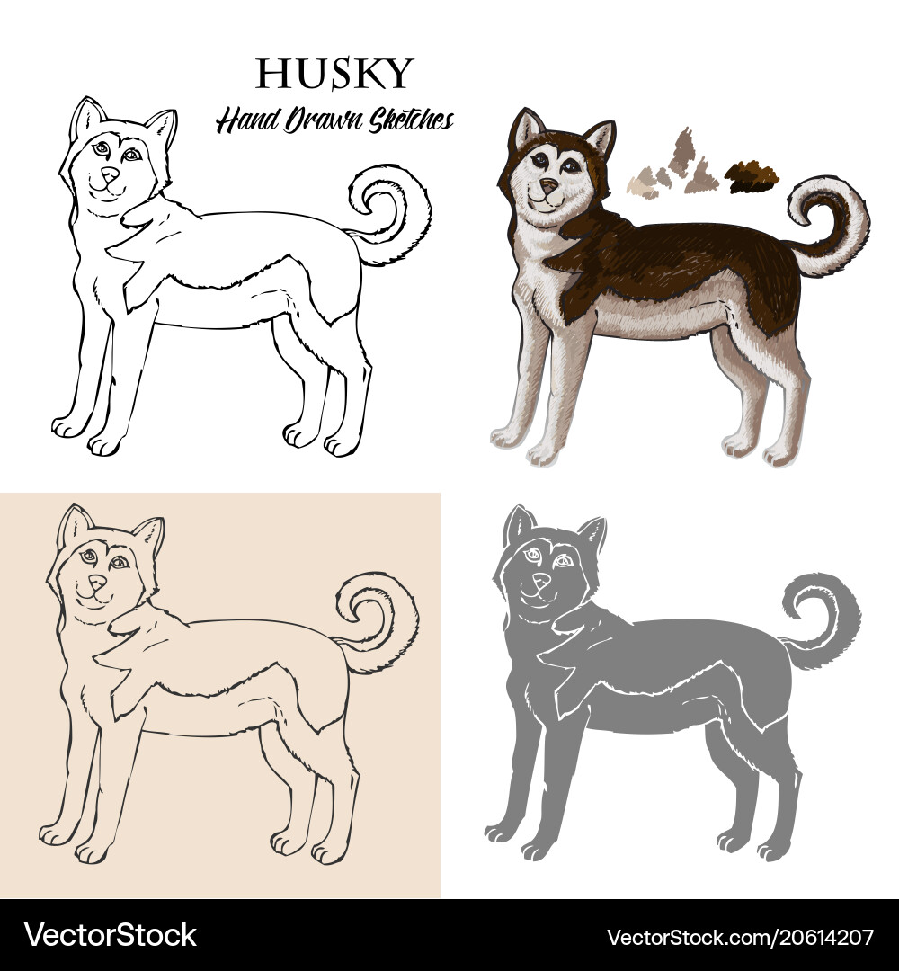 Hand drawn husky dogs sketches Royalty Free Vector Image