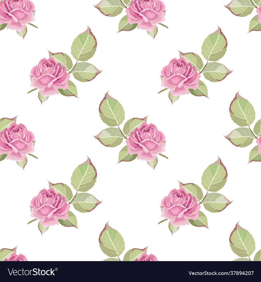 Pattern with single roses Royalty Free Vector Image