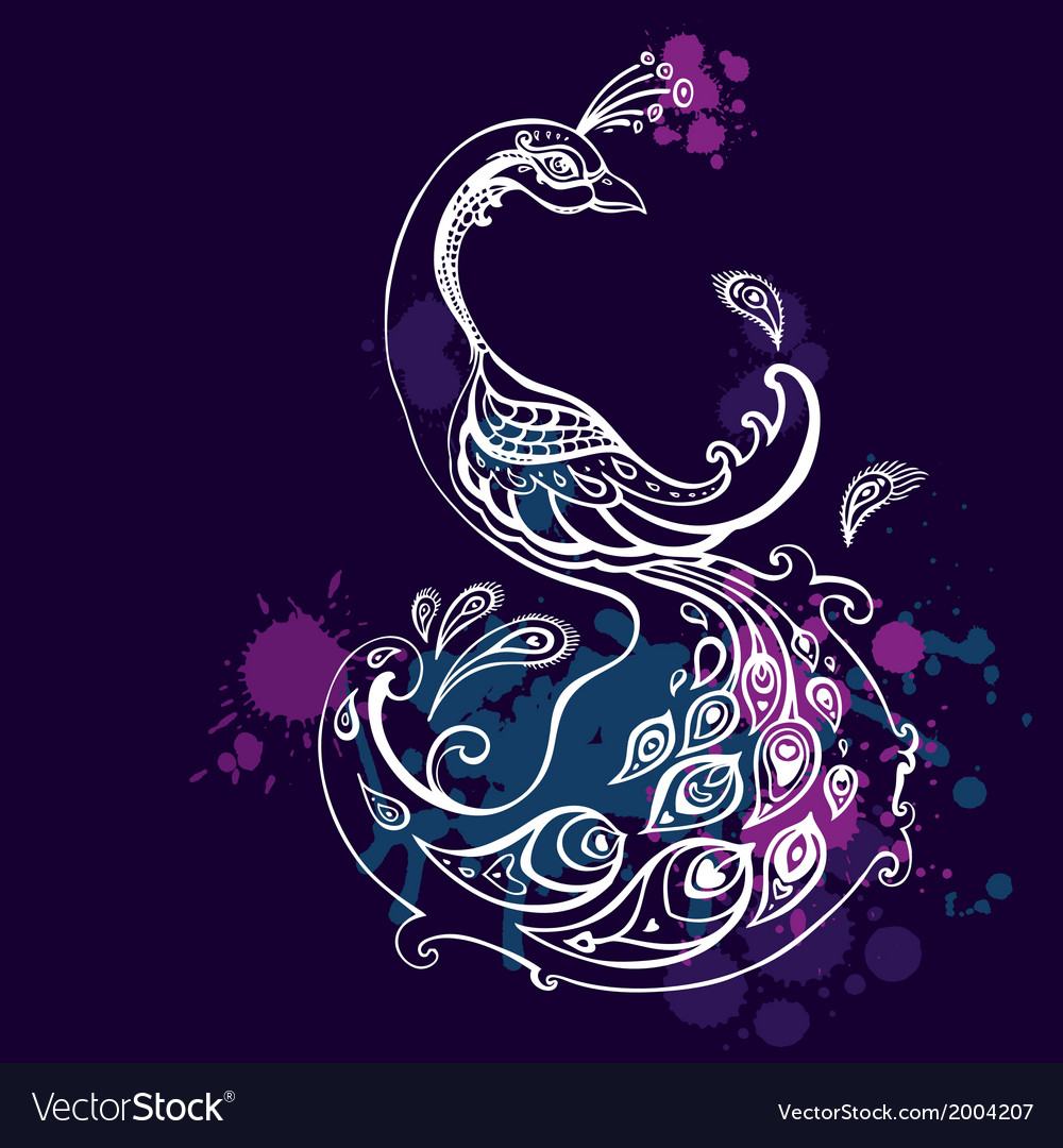 Peacock Royalty Free Vector Image - VectorStock