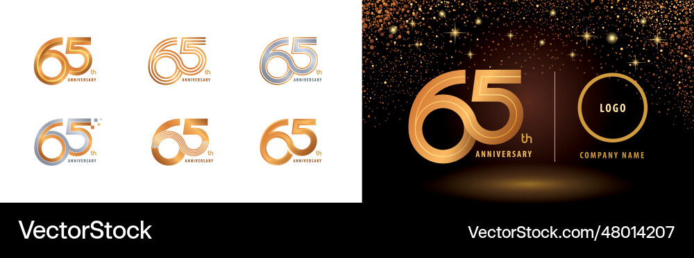 Set of 65th anniversary logotype design sixty Vector Image
