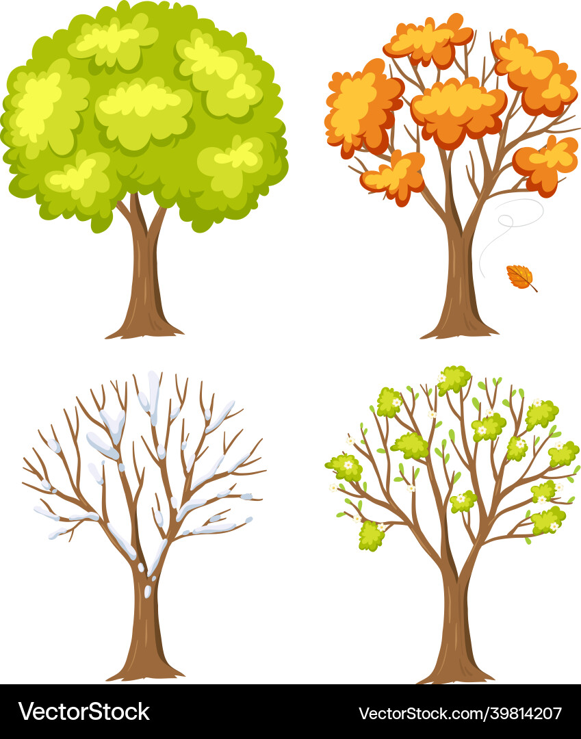 Set of tree in different season Royalty Free Vector Image