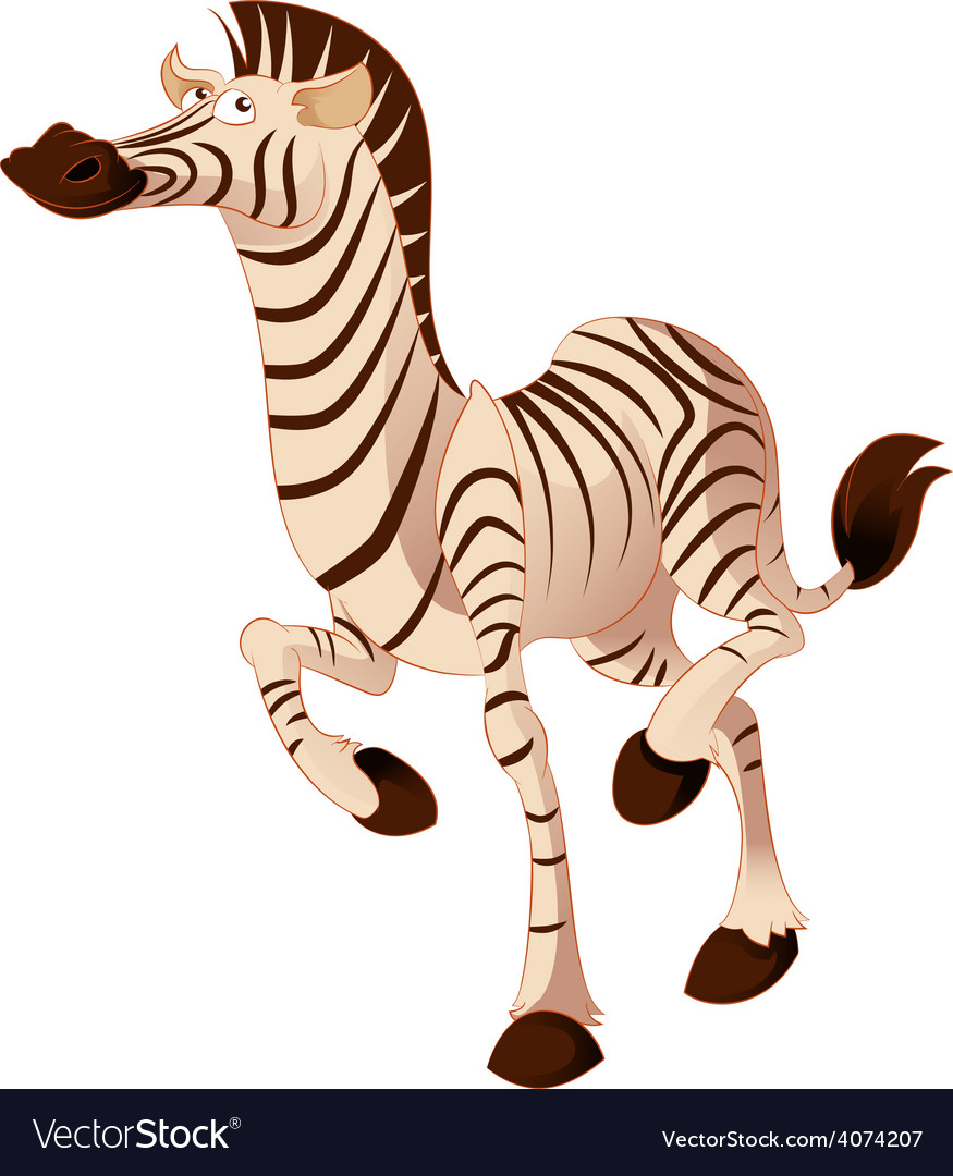 Zebra Royalty Free Vector Image - VectorStock