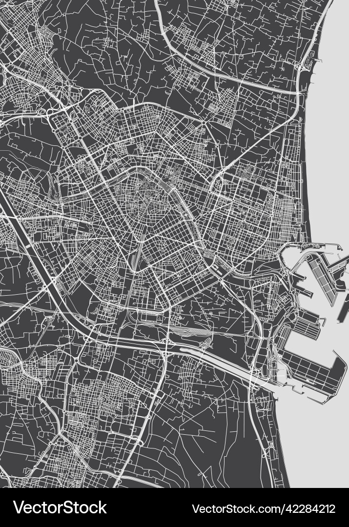 City map valencia monochrome detailed plan Vector Image