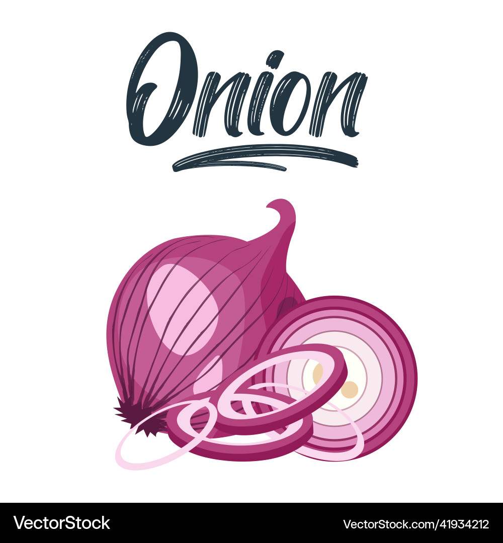 Red onion set cut in half slice and rings Vector Image