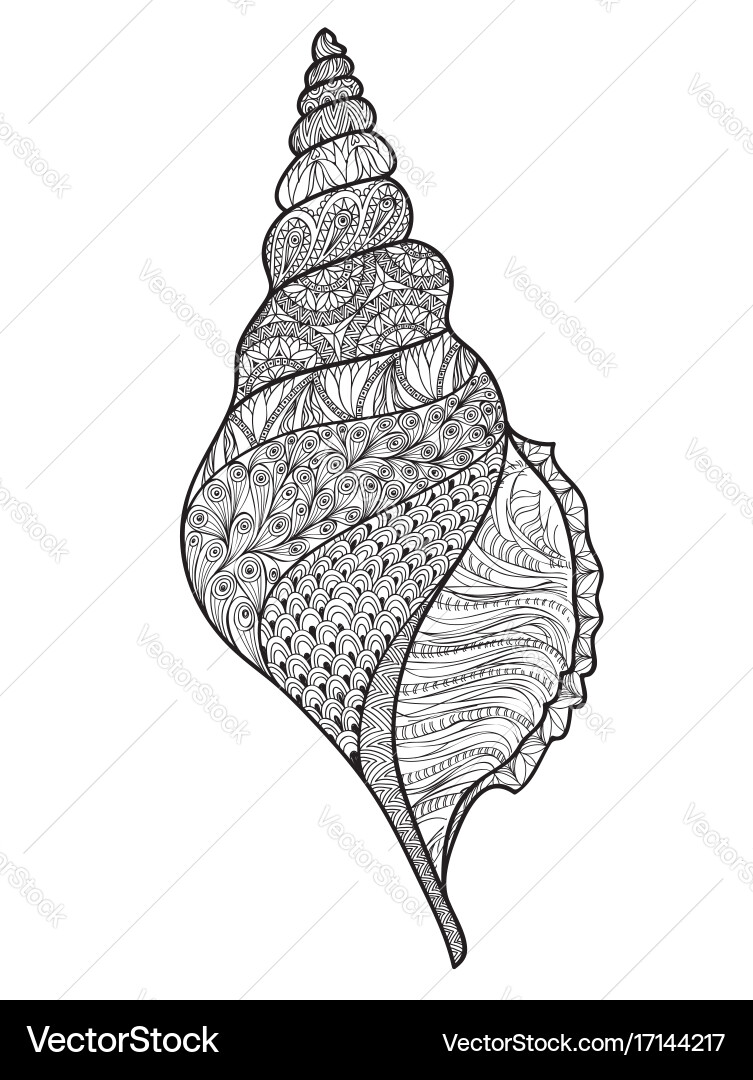 Seashell over white background line art marine Vector Image