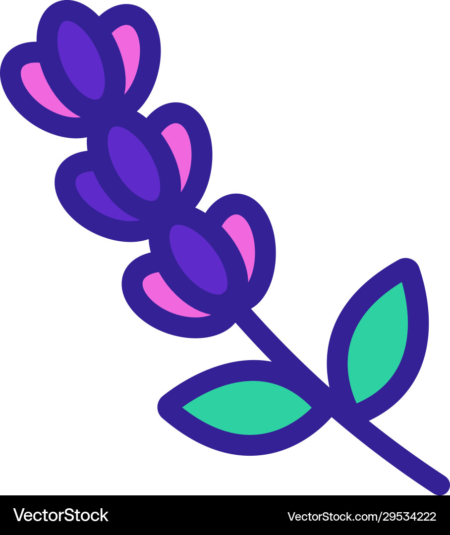 Lavender flower icon isolated contour Royalty Free Vector